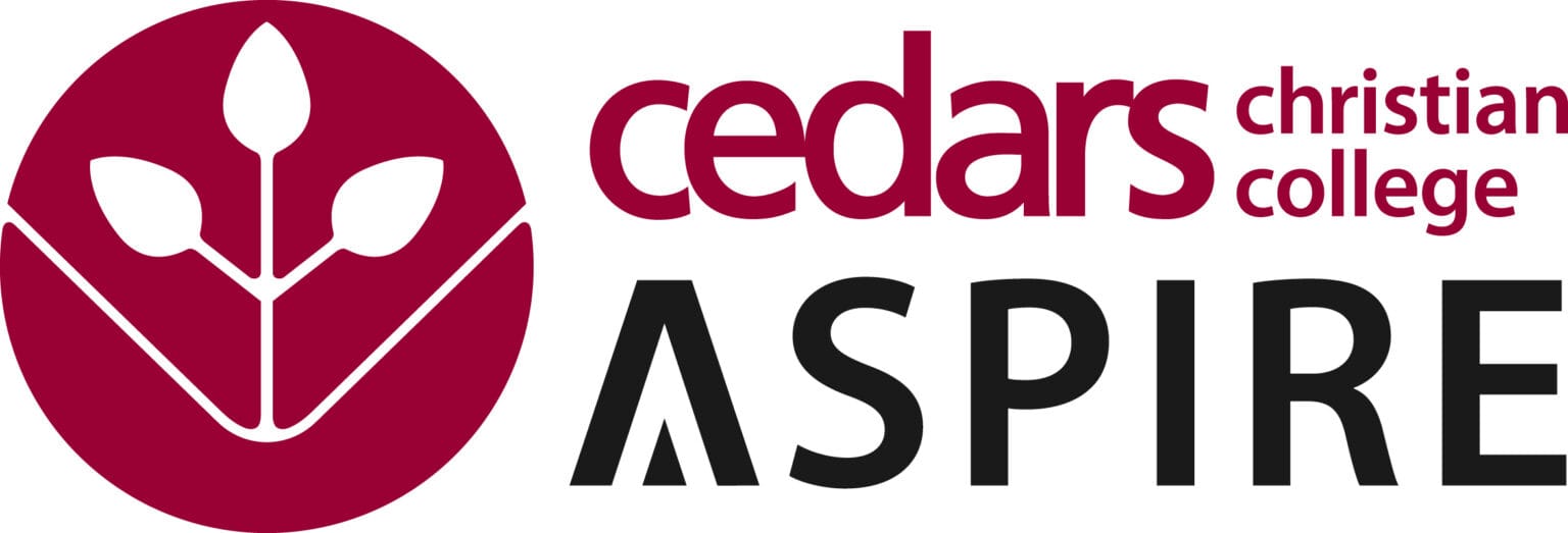 PIPS – Parent Identity Passport System – Secure, simple, flexible and ...